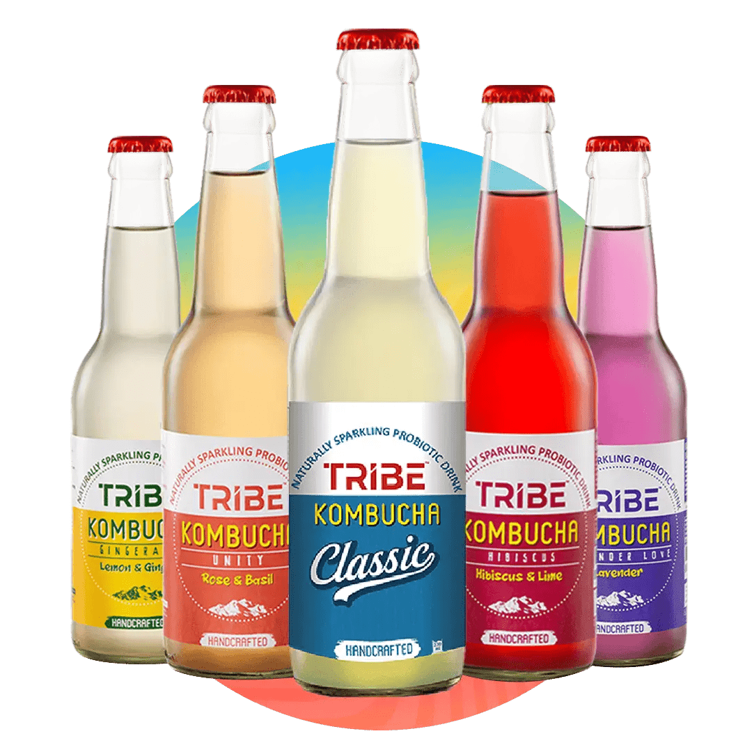 Buy Kombucha Assorted Pack |Kombucha Flavours – MOUNTAINTRIBE